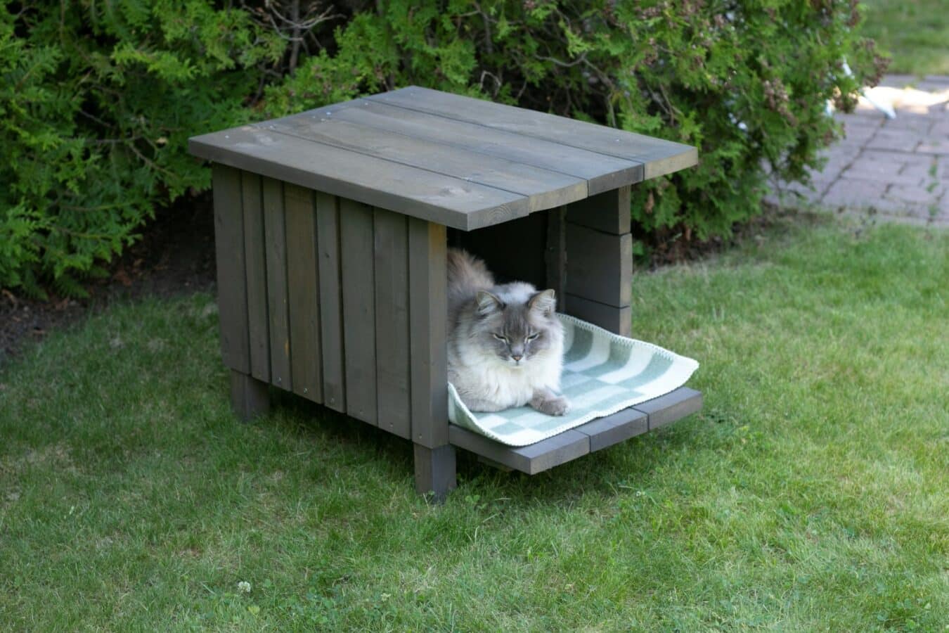 Prosjekt av MøreRoyal rester: Kattehus % - Talgø MøreRoyal